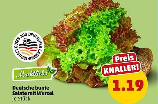 Deutsche Bunte Salate Mit Wurzel Angebot bei Penny - ProspektGuru.de