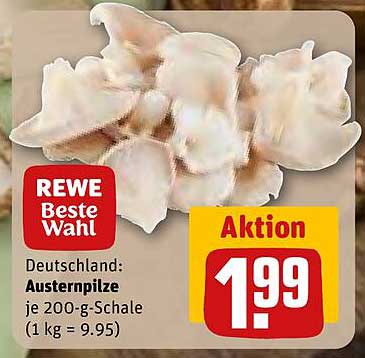 Austernpilze Angebot bei REWE Center