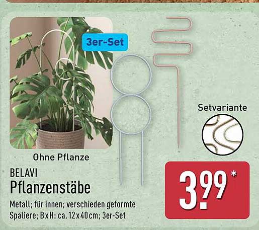 Belavi Pflanzenstäbe 3Er-Set Angebot bei Aldi Nord - ProspektGuru.de