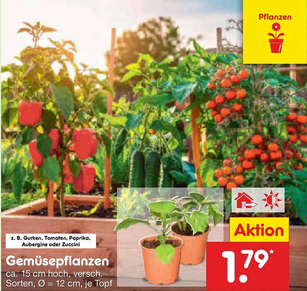 Gartenpflanzen Des Monats Mai Gemüsepflanzen Gartencenter Leurs