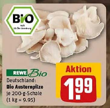 Bio Austernpilze Je 200-G-Schale Angebot bei REWE - ProspektGuru.de