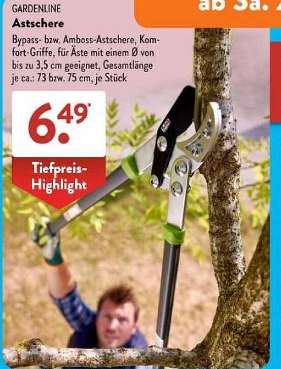 Astschere Angebot bei Aldi Süd