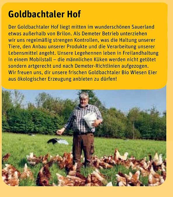 Goldbachtaler Bio Wiesen Eier Angebot bei REWE