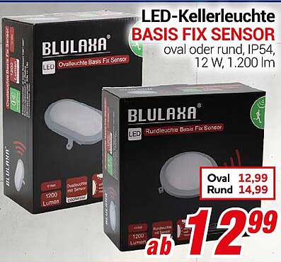 Led-Kellerleuchte Basis Fix Sensor Angebot bei CENTERSHOP - ProspektGuru.de