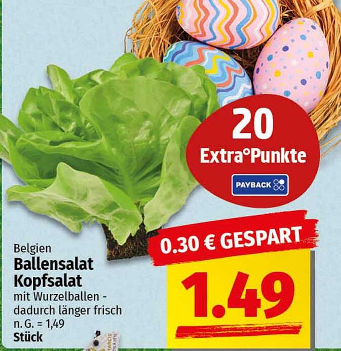 Kopfsalat Mit Wurzelballen