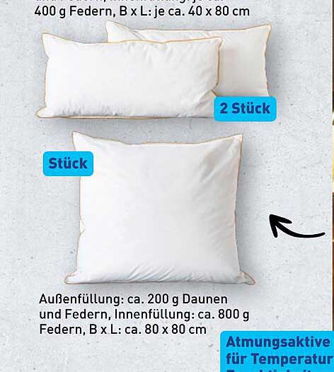 Kissen Federn Oder Daunen