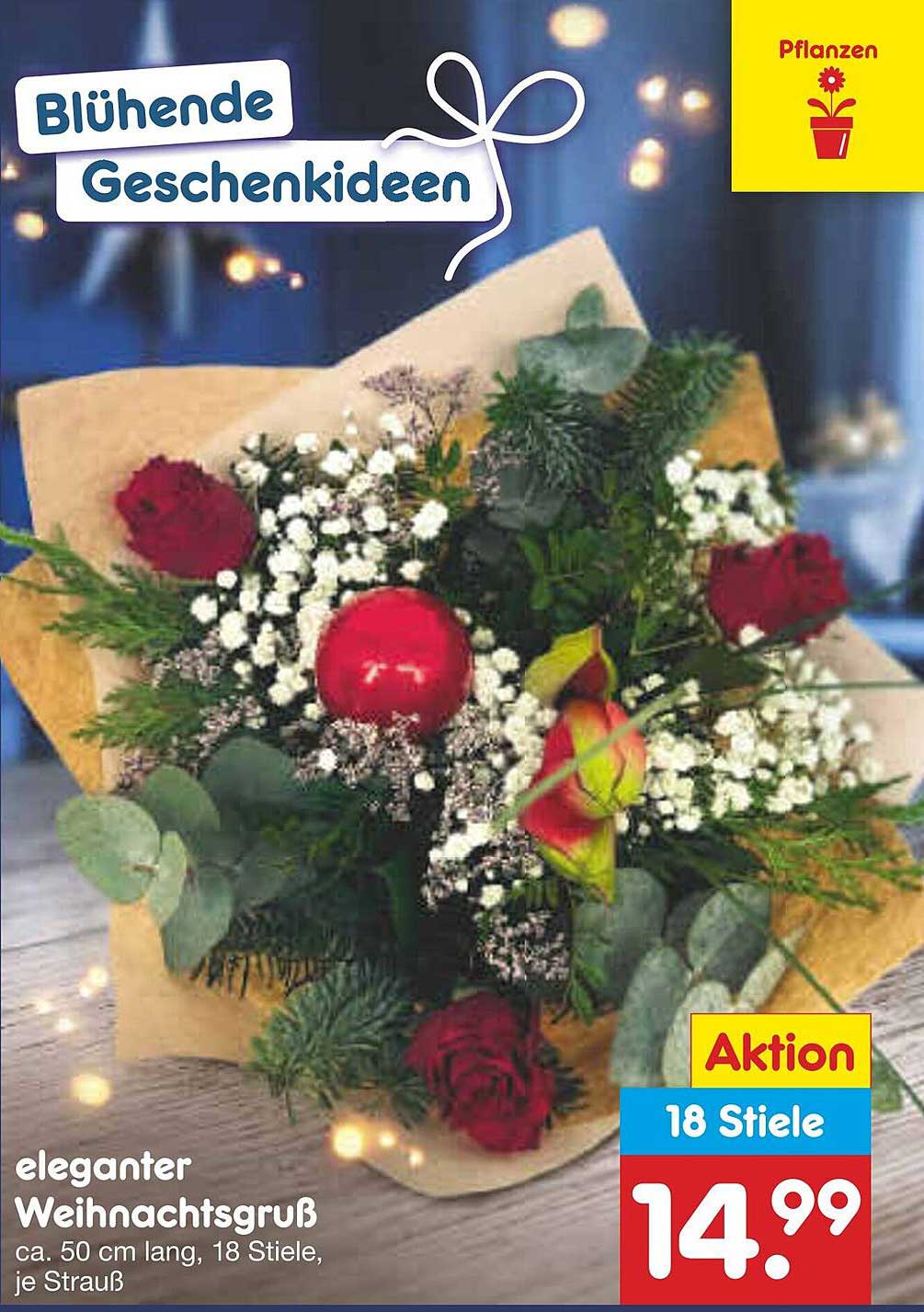 Eleganter Weihnachtsgruß - 18 Stiele Angebot bei Netto Marken-Discount ...