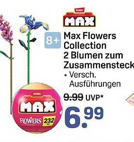 Max Flowers Collection 2 Blumen Zum Zusammenstecken Angebot bei Rossmann