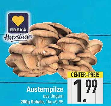 Austernpilze Aus Ungarn Angebot bei E-Center - ProspektGuru.de