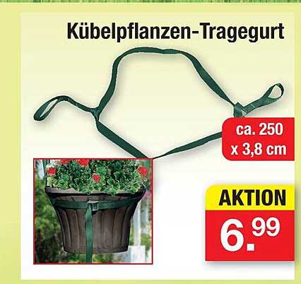 Tragegurt Fur Schwere Kubelpflanzen