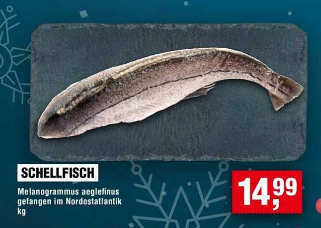 Schellfisch – Melanogrammus Aeglefinus, Gefangen Im Nordostatlantik ...