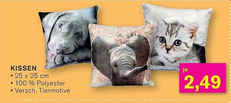 Kissen Mit Tiermotiven - 25 X 25 Cm Angebot bei KODi - ProspektGuru.de