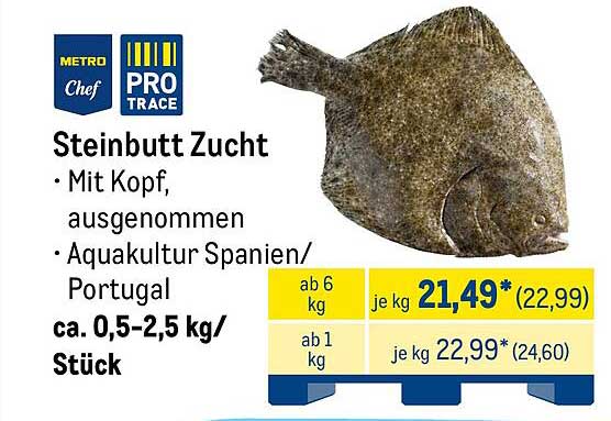 Steinbutt Zucht Angebot bei METRO - ProspektGuru.de