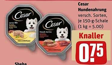 Cesar Hundenahrung - Verschiedene Sorten, Je 150-G-Schale Angebot bei ...