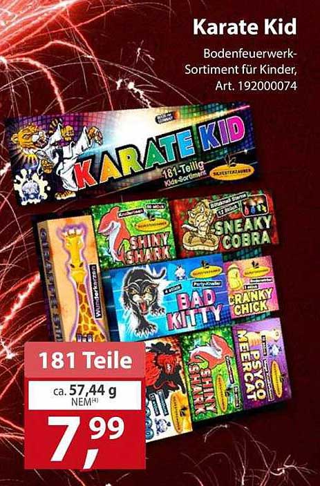 Karate Kid Feuerwerk-Sortiment Für Kids Angebot bei Zimmermann ...