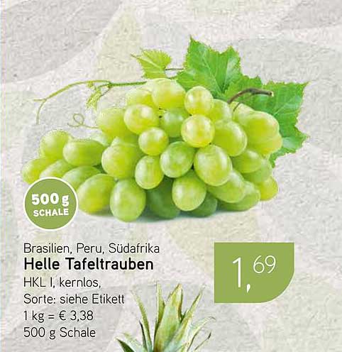 Tafeltrauben Kernlos Pilzresistent Winterhart